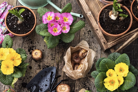 Welcome to Pueblo City-County Library | Pueblo City-County Library